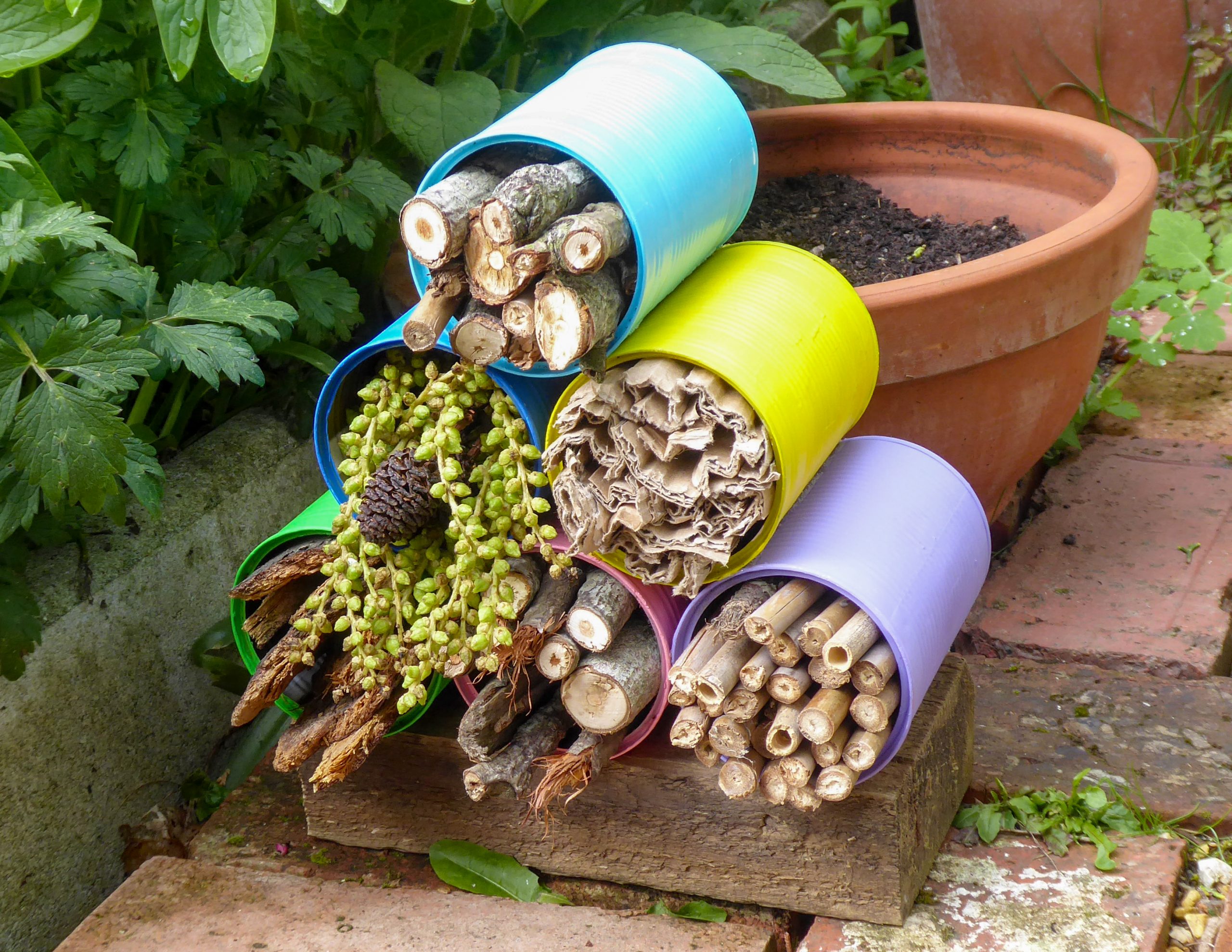 Buggee Hotel - Hey Duggee Official Website